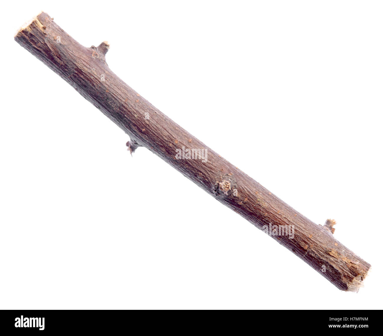 apple twig isolated on white background Stock Photo - Alamy