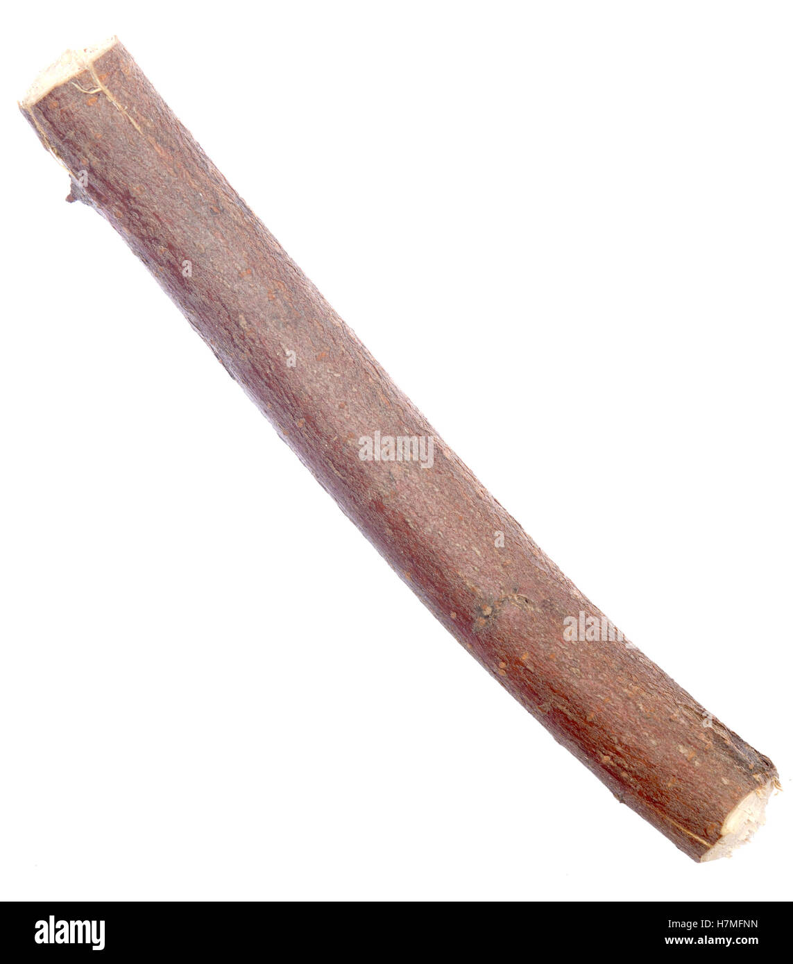 apple twig isolated on white background Stock Photo - Alamy