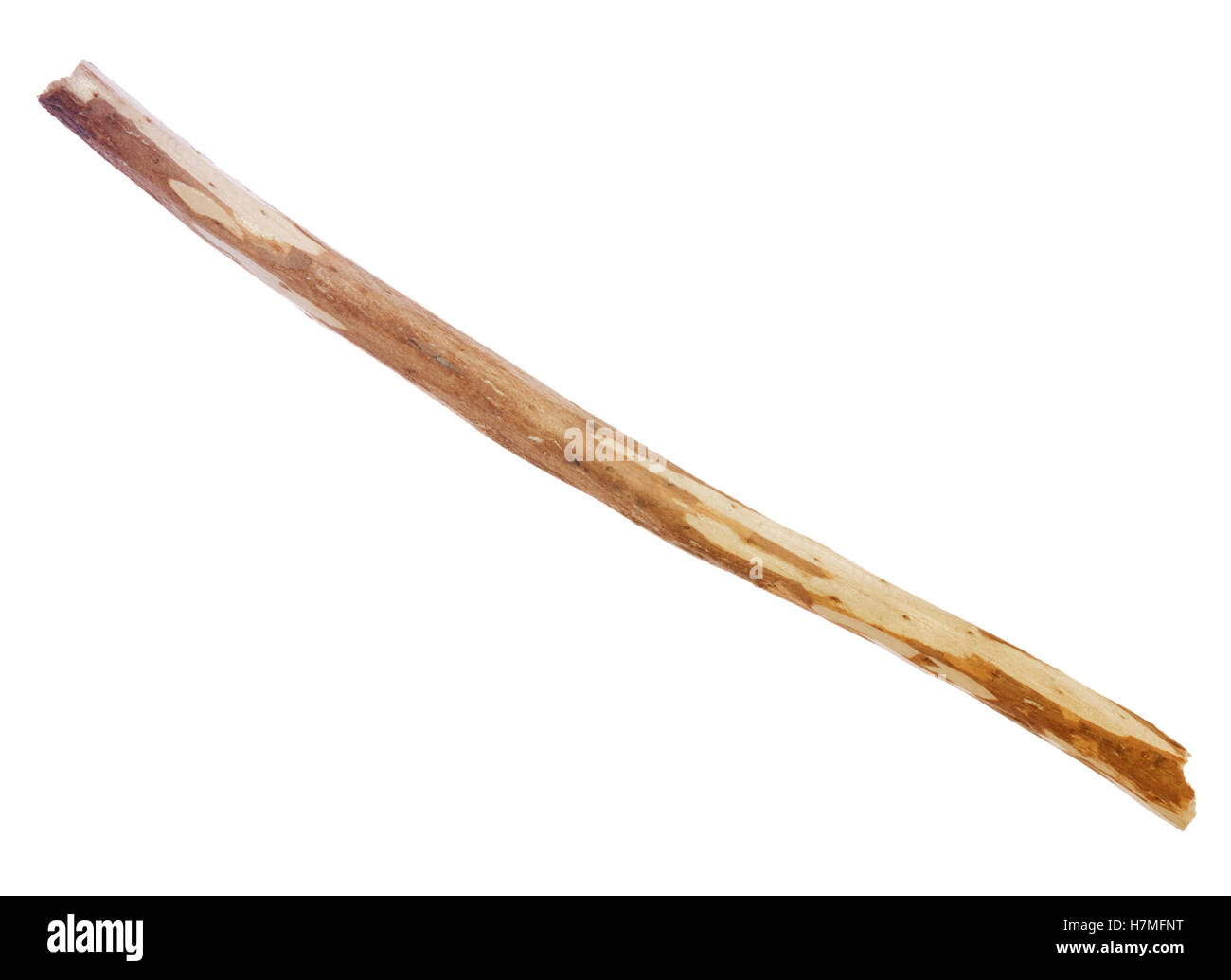 Tree twig hi-res stock photography and images - Alamy
