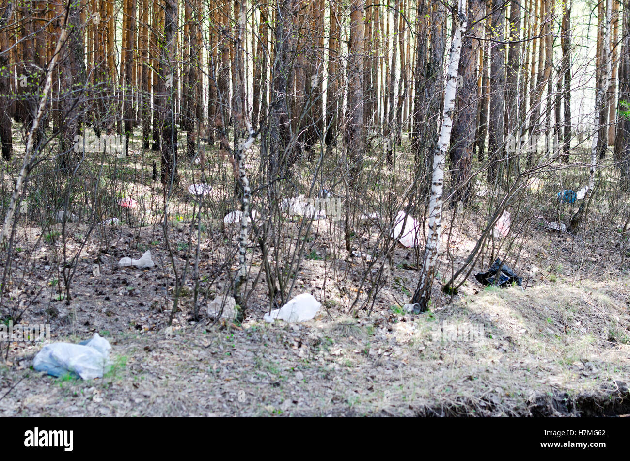 Garbage dump in the forest Stock Photo - Alamy