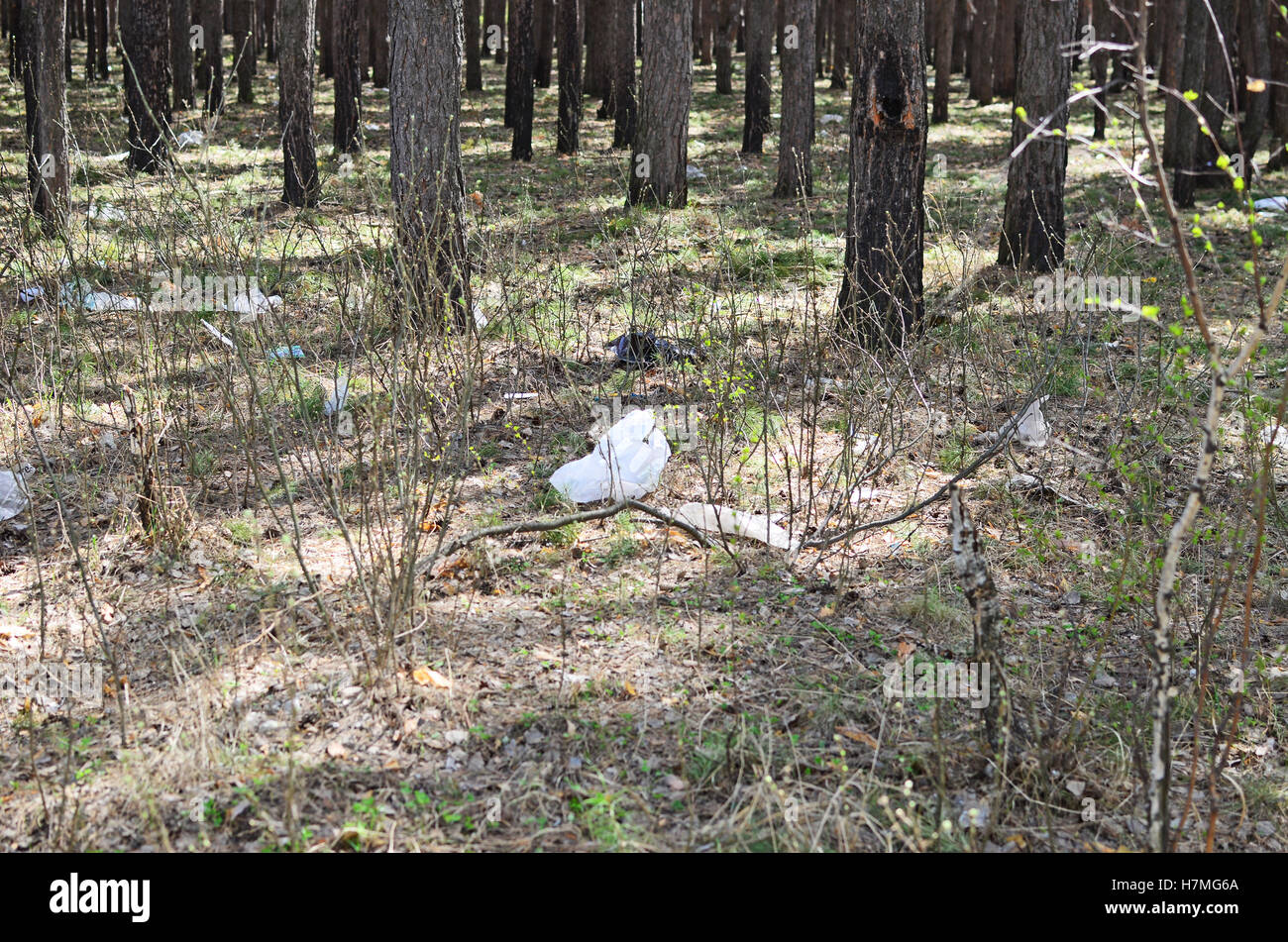 garbage in the forest Stock Photo - Alamy