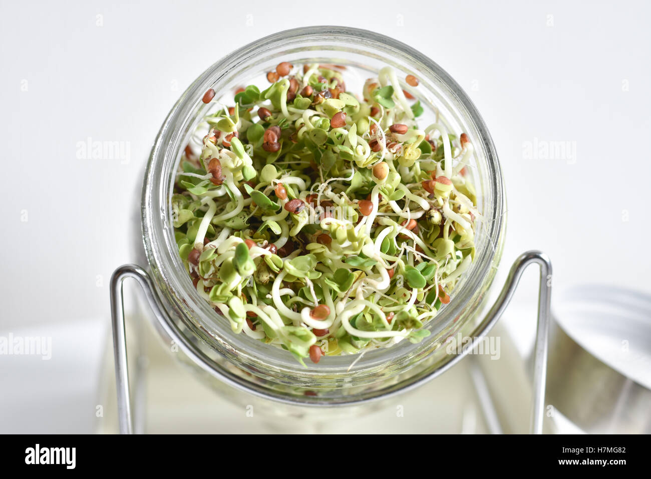 Super sprouts hi-res stock photography and images - Alamy