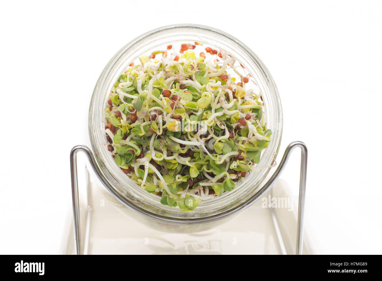 Radish sprouts hi-res stock photography and images - Alamy