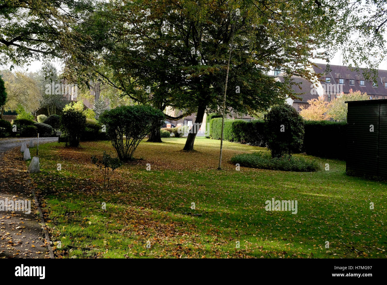 autumn fallen tree leaves in uk's smallest town of fordwich in east ...