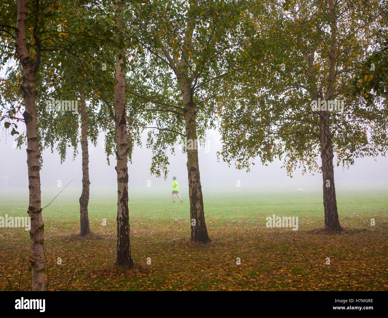 Running in an autumn mist Stock Photo - Alamy