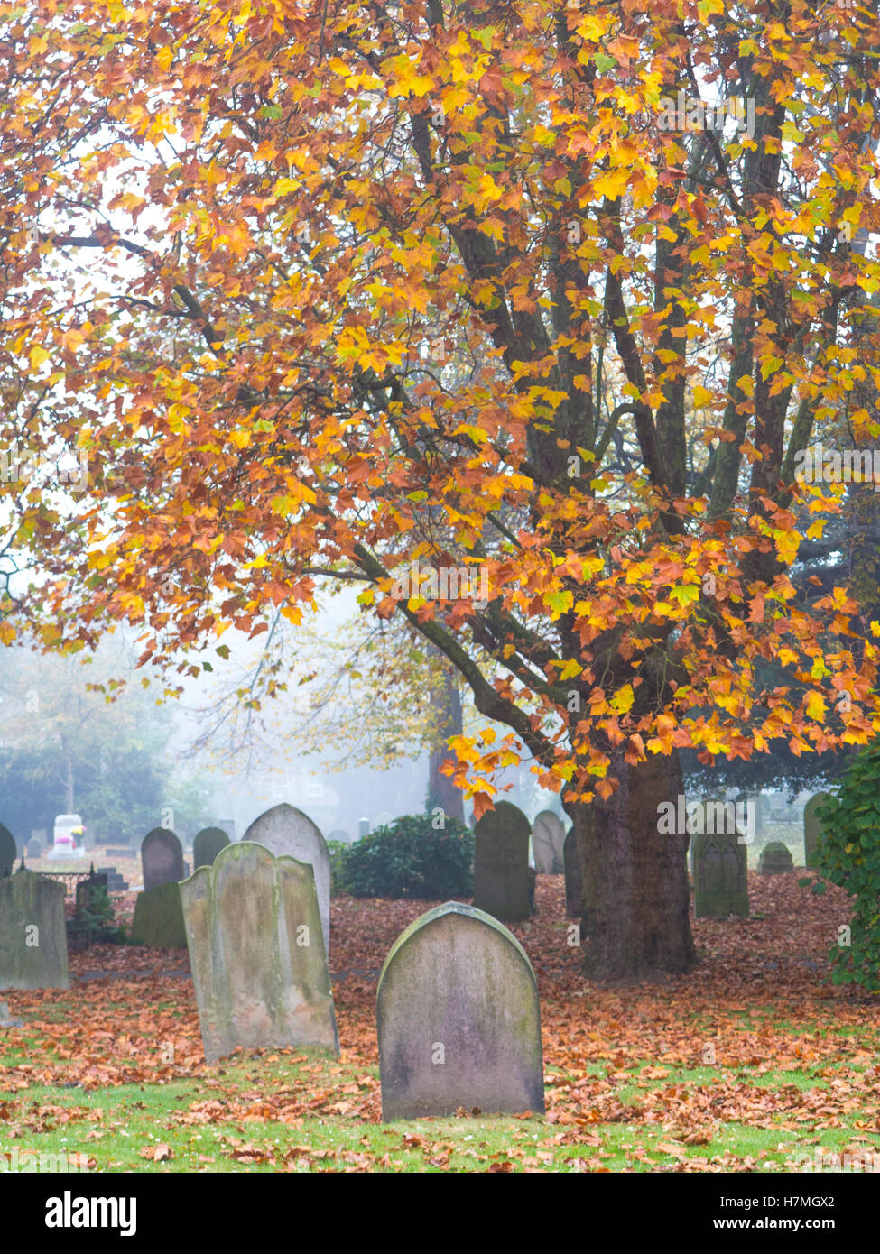 Graveyard fall colours hi-res stock photography and images - Alamy