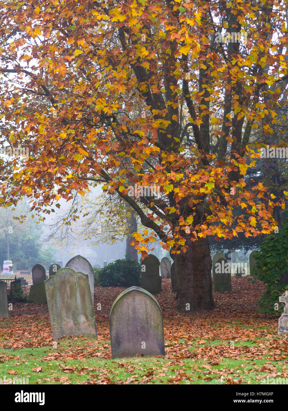 Graveyard fall colours hi-res stock photography and images - Alamy