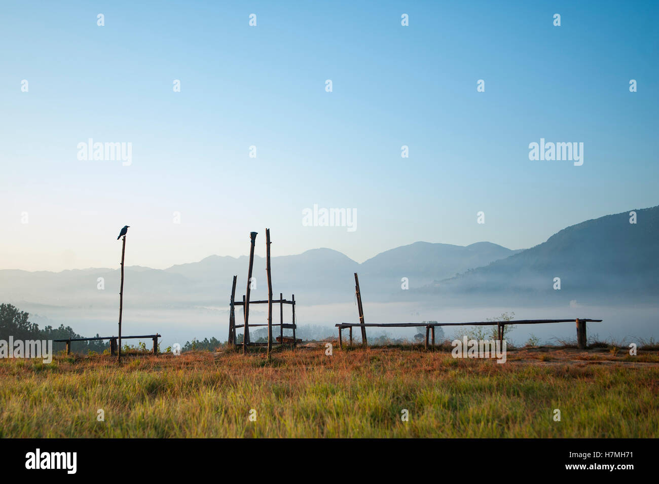 Take a Morning Walk in the Park Sunlight Stock Photo - Alamy