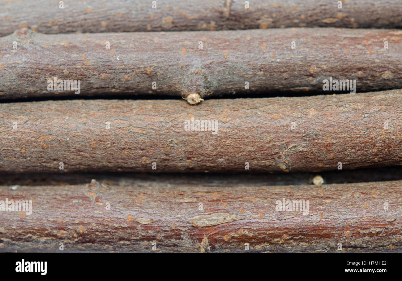 wooden log background Stock Photo - Alamy