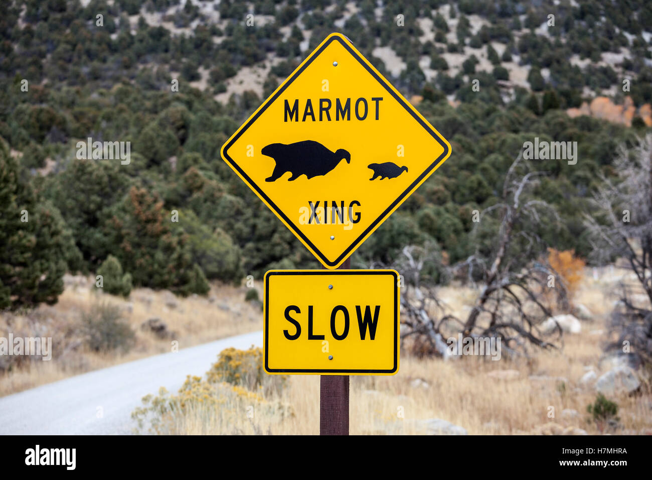 Wildlife caution sign hi-res stock photography and images - Alamy