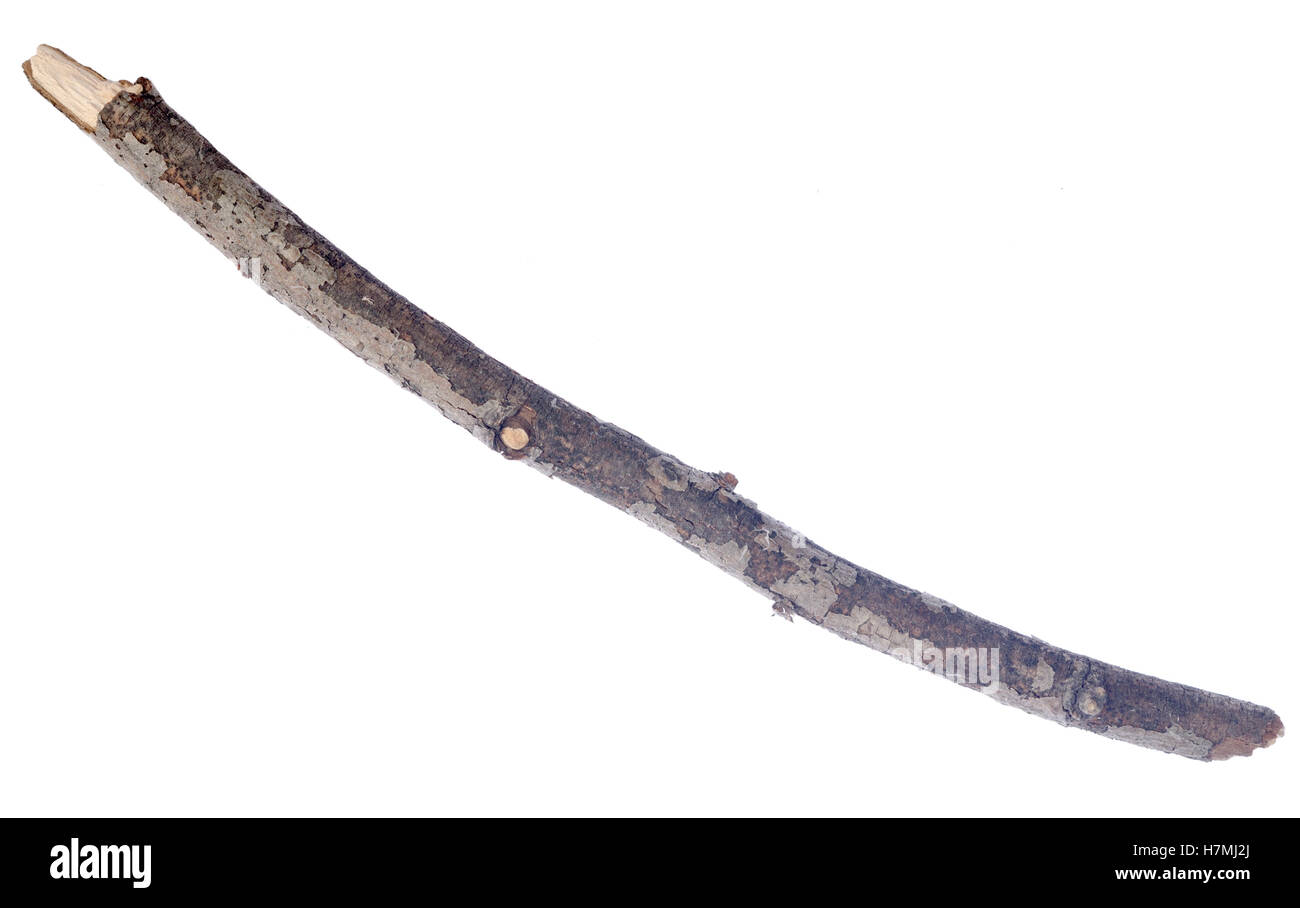 stick isolated on white background Stock Photo - Alamy
