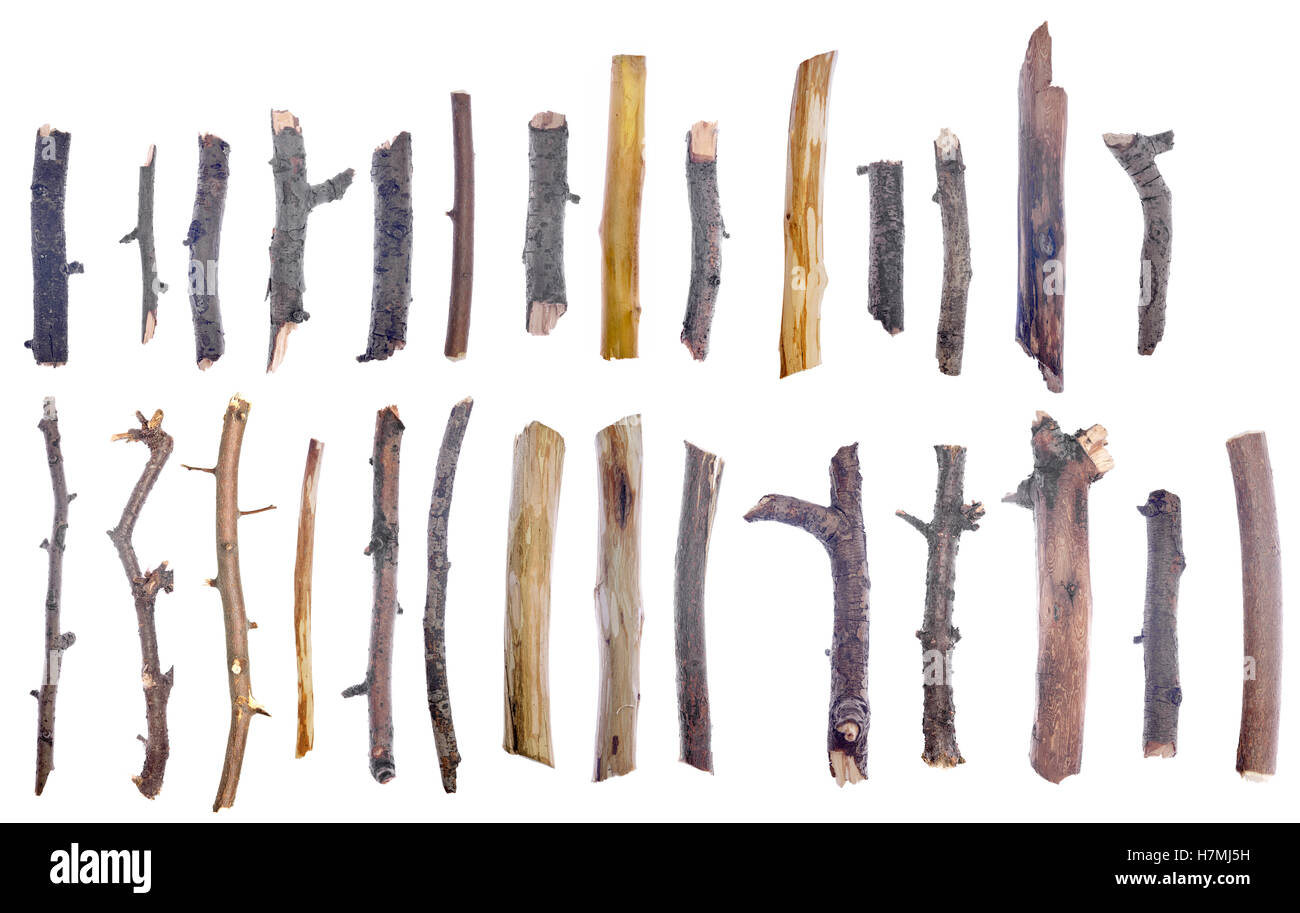 Dry twigs hi-res stock photography and images - Alamy