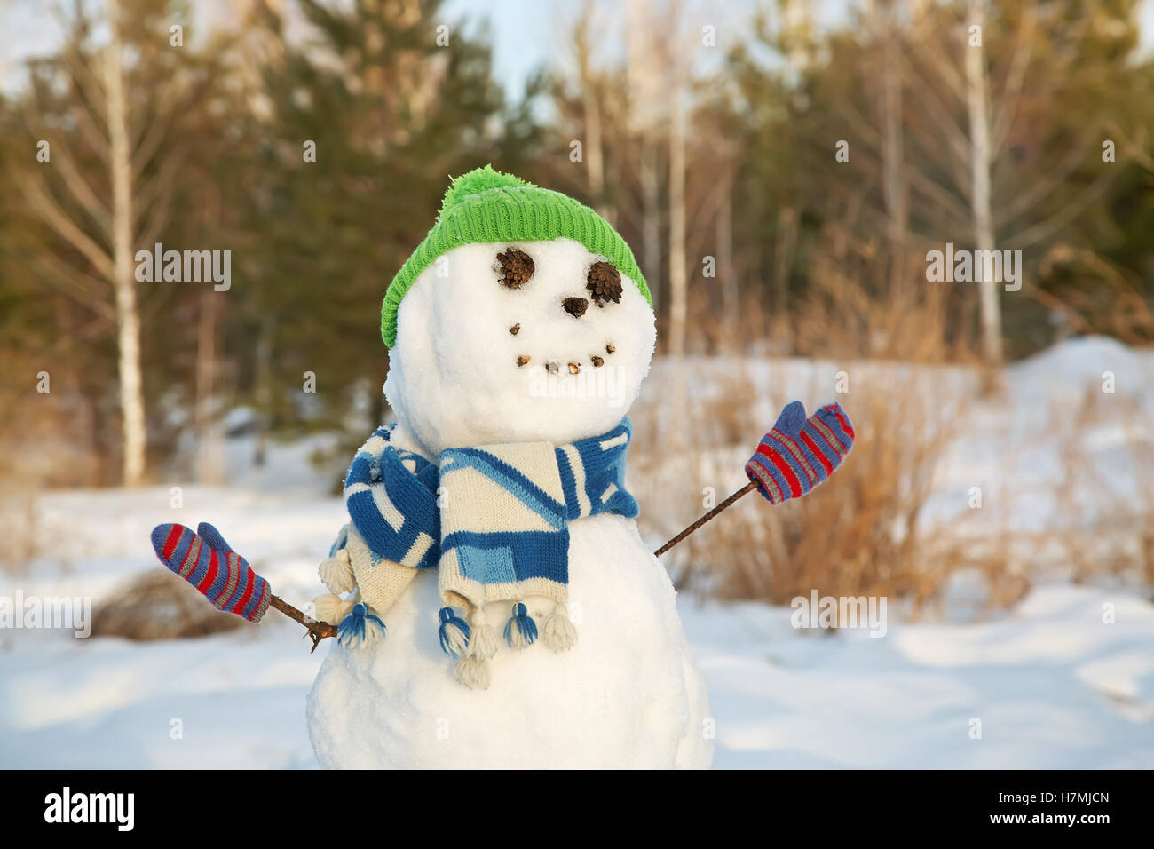 snowman in a forest Stock Photo - Alamy