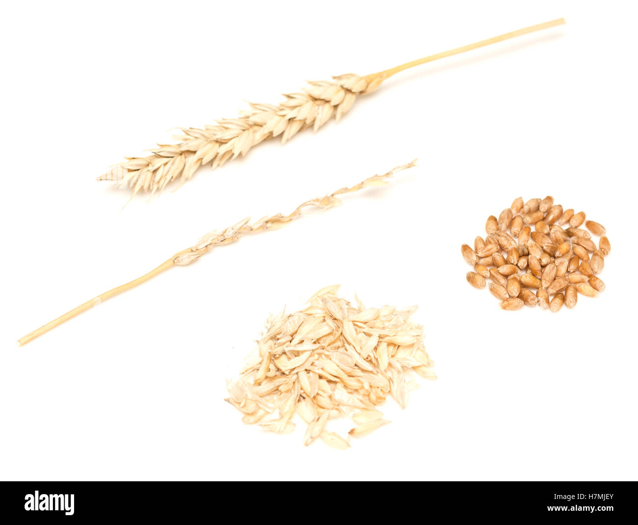 wheat isolated on white background Stock Photo - Alamy