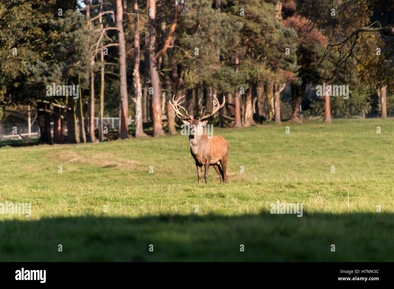 In the line of sight Stock Photo - Alamy