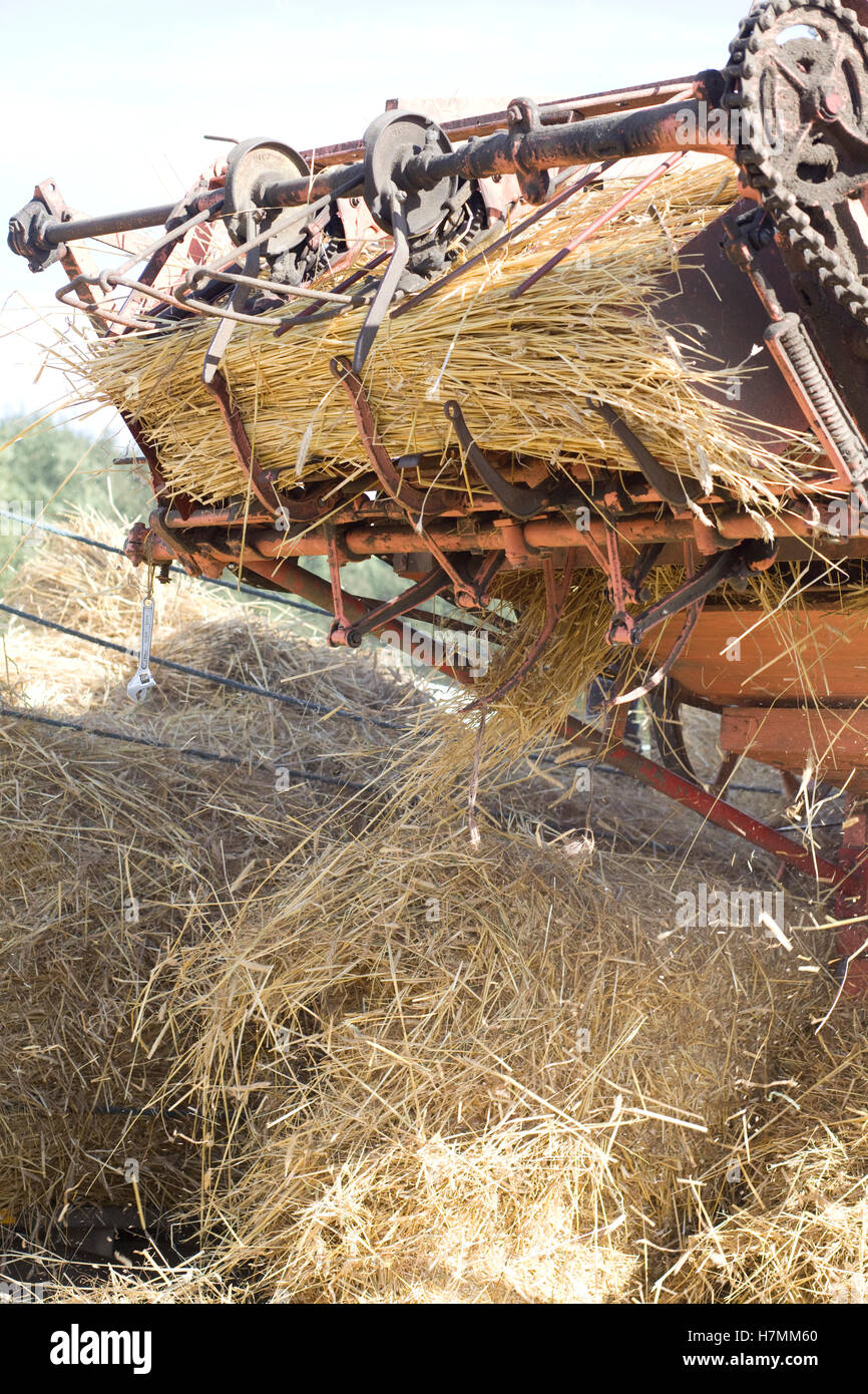 Steam powered harvesters hi-res stock photography and images - Alamy