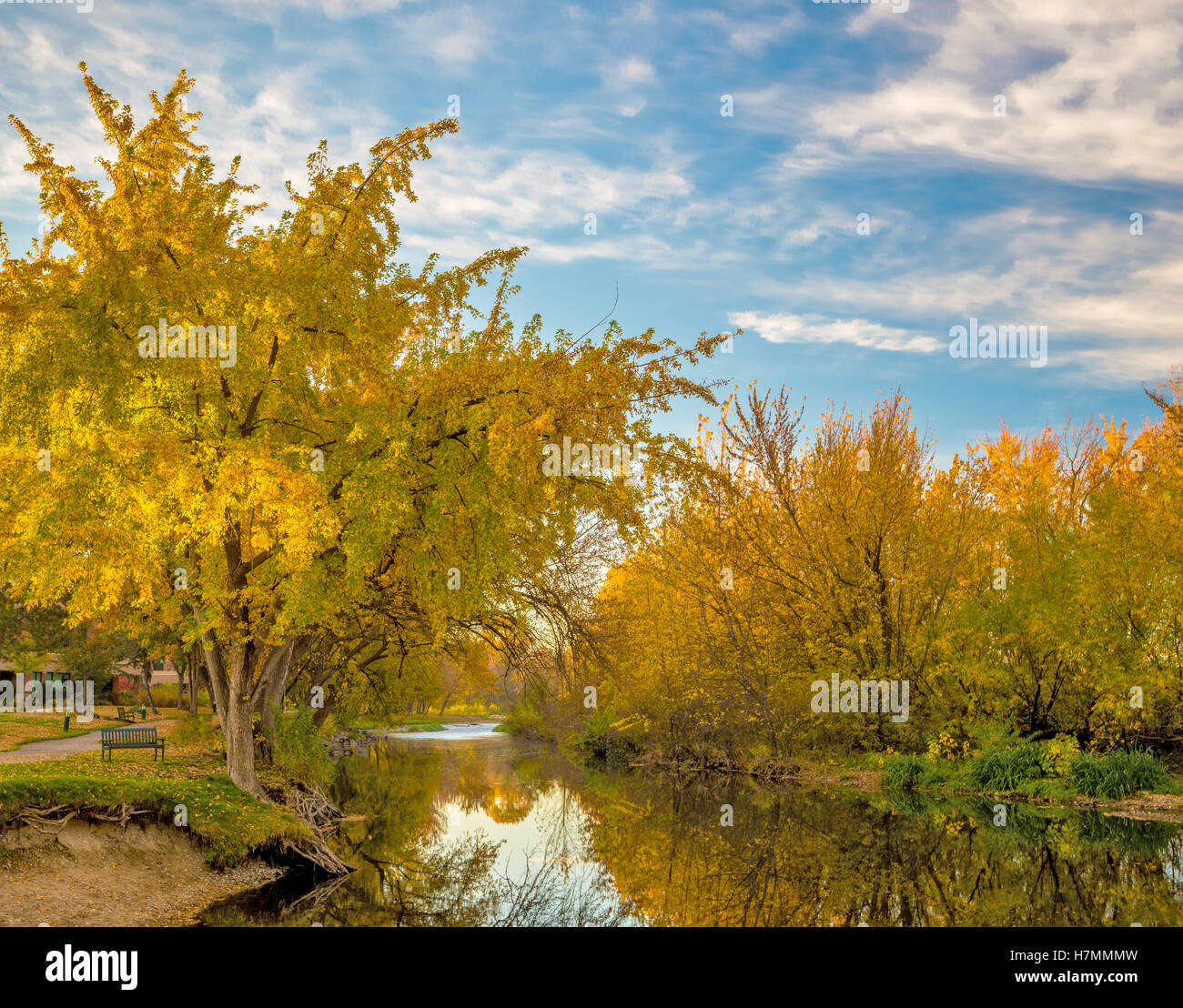 Autumn trees along the Boise River with reflection Stock Photo - Alamy