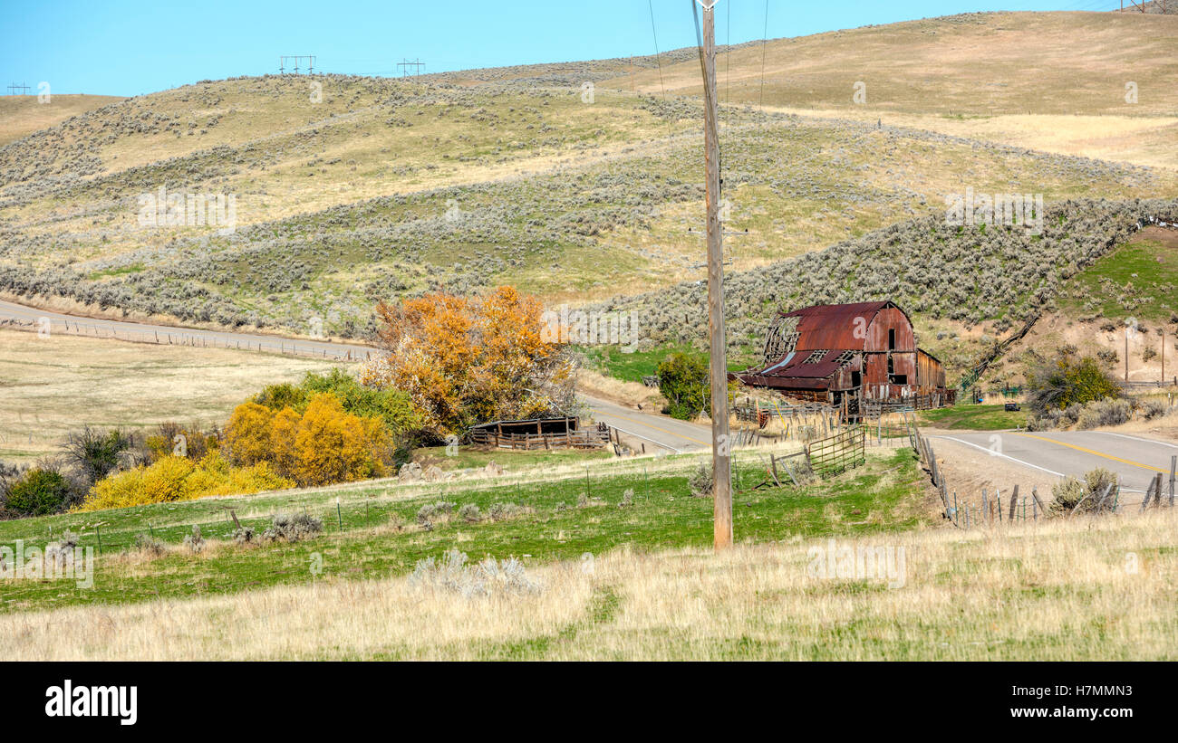 Farm field with autumn trees barn and road Stock Photo - Alamy