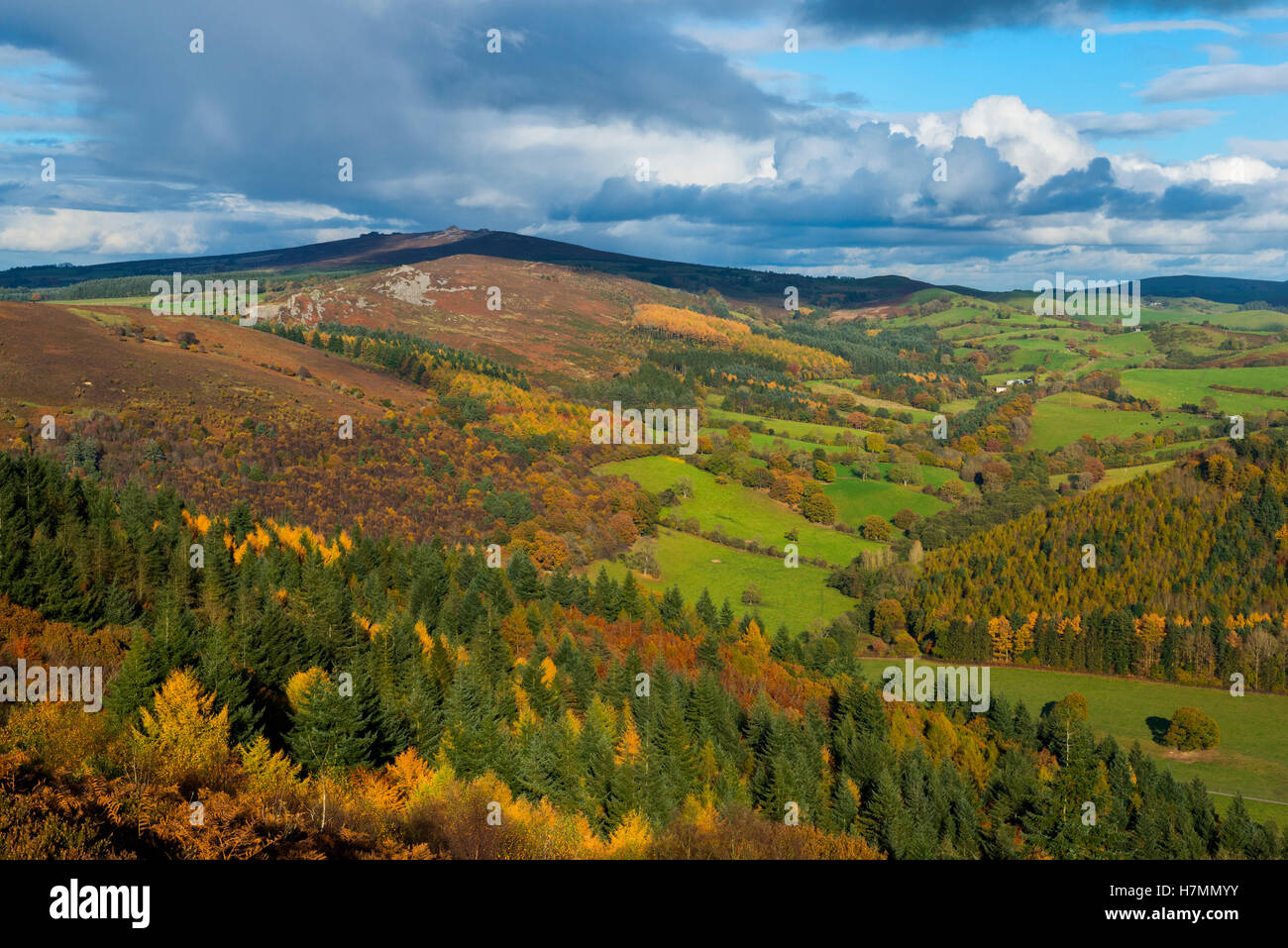 Shropshire landscape countryside hi-res stock photography and images ...