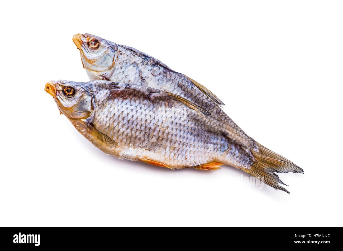 Couple of Salted Vobla Fishes Isolated on White Stock Photo - Alamy