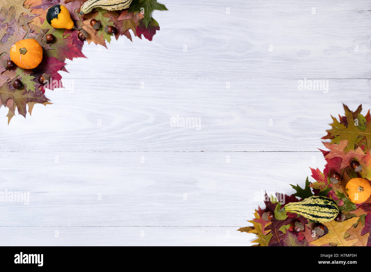White wooden background with autumn leaves, acorns and gourds in ...