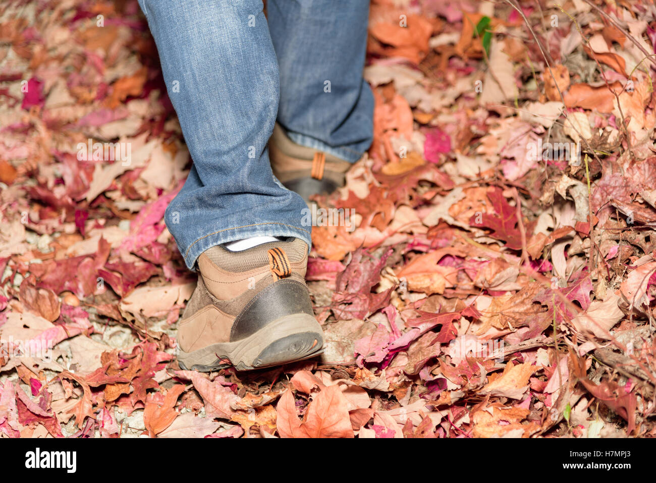 Hiking over fallen red hi-res stock photography and images - Alamy