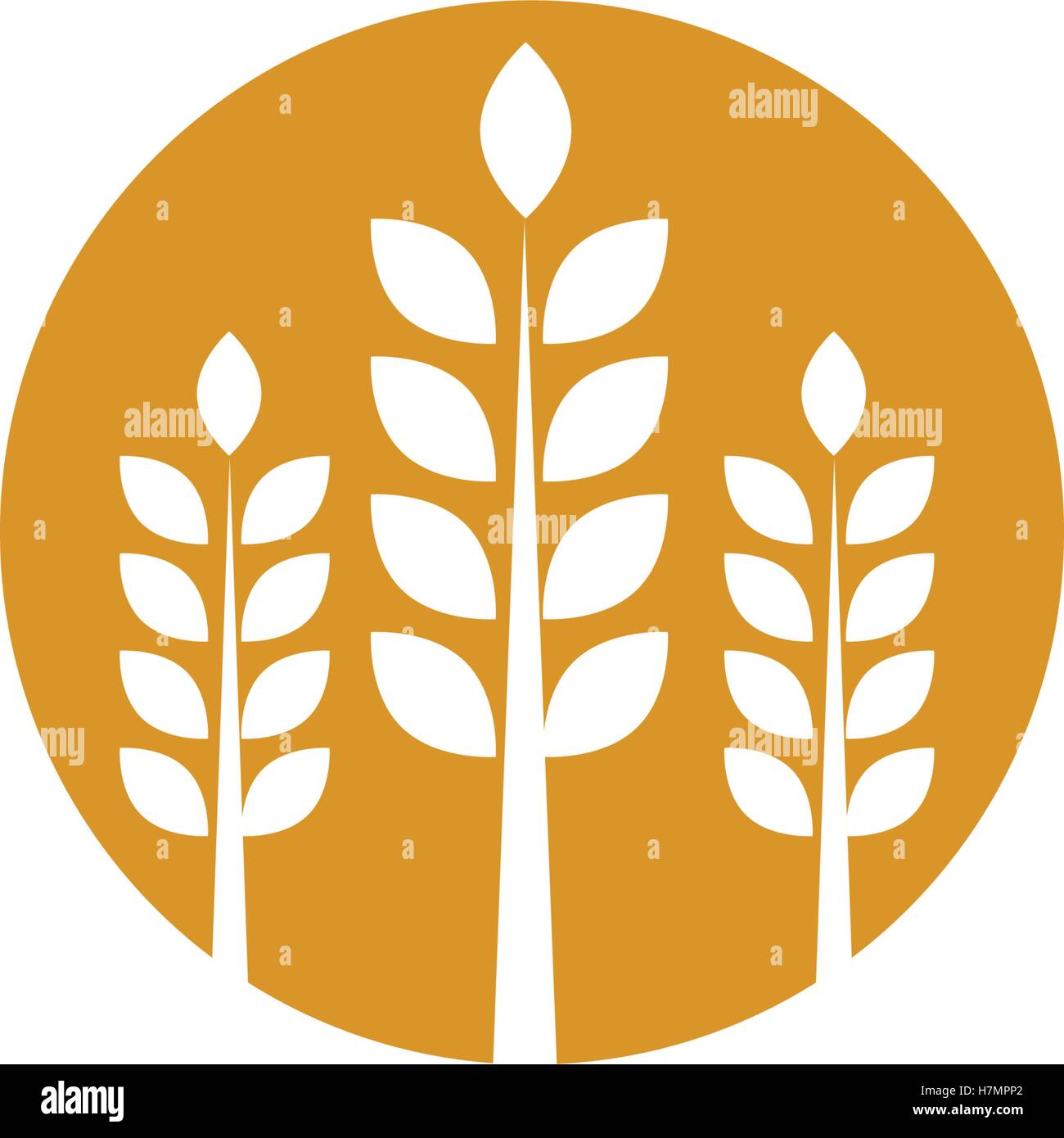 wheat Logo Template Stock Vector Image & Art - Alamy