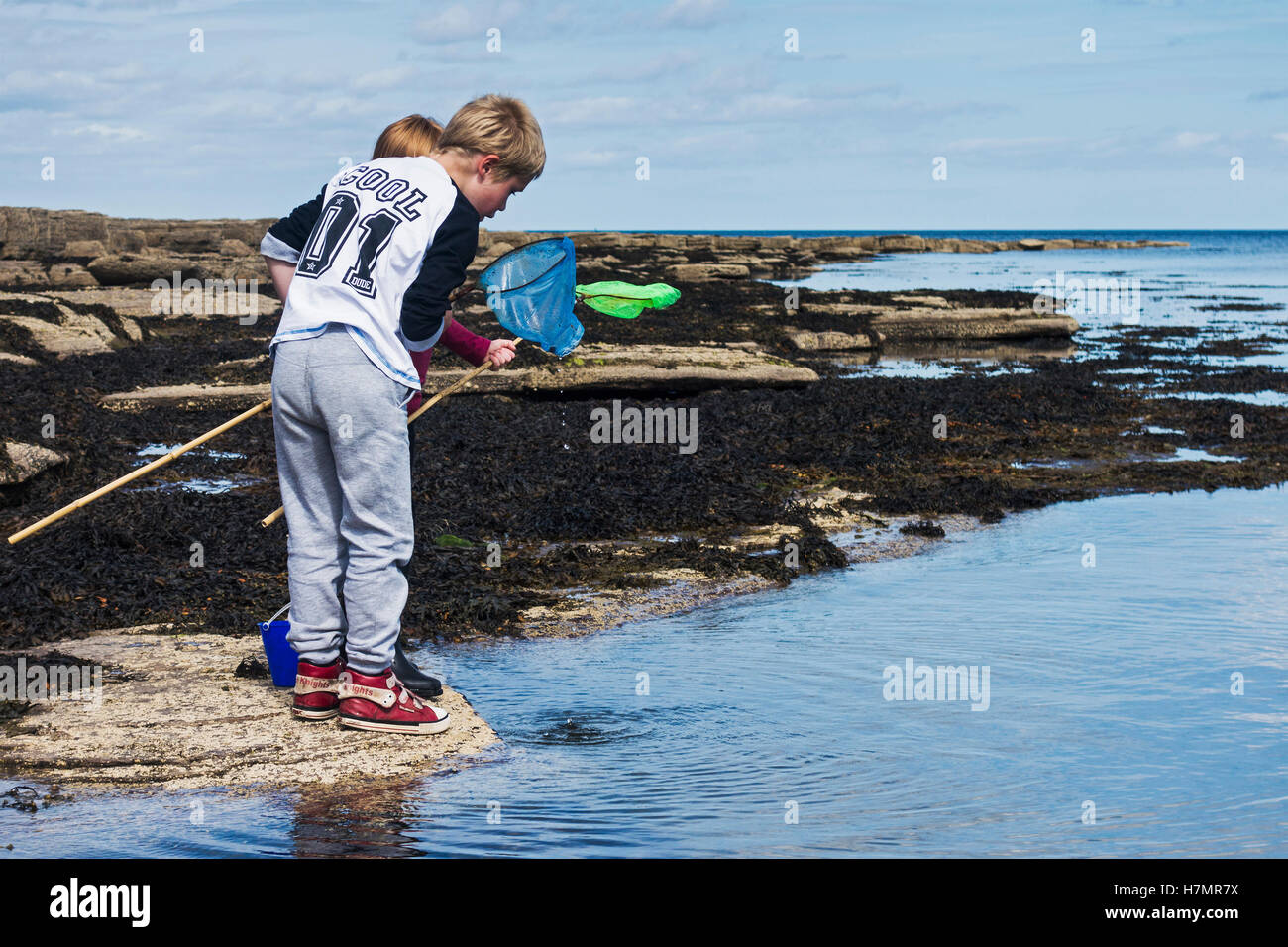 Two children investigate their catch Stock Photo - Alamy