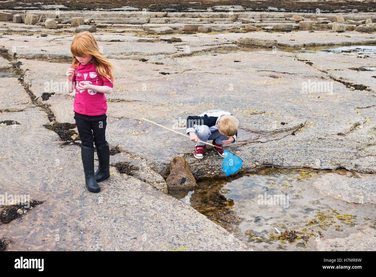 Two children, siblings aged six and seven, explore a rock pool Stock ...
