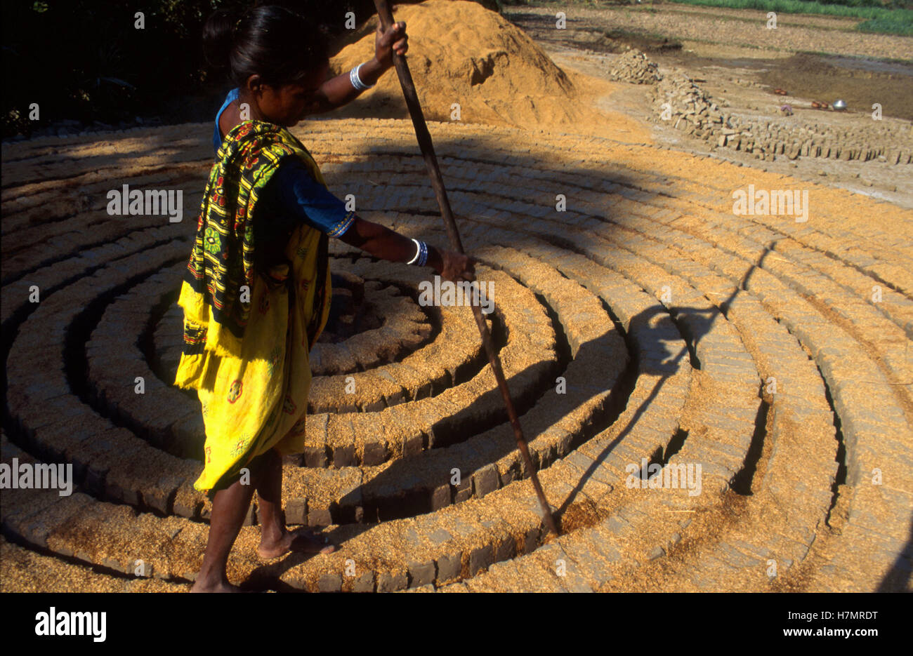 INDIA Andhra Pradesh, brick industry, woman put paddy chaff between row ...