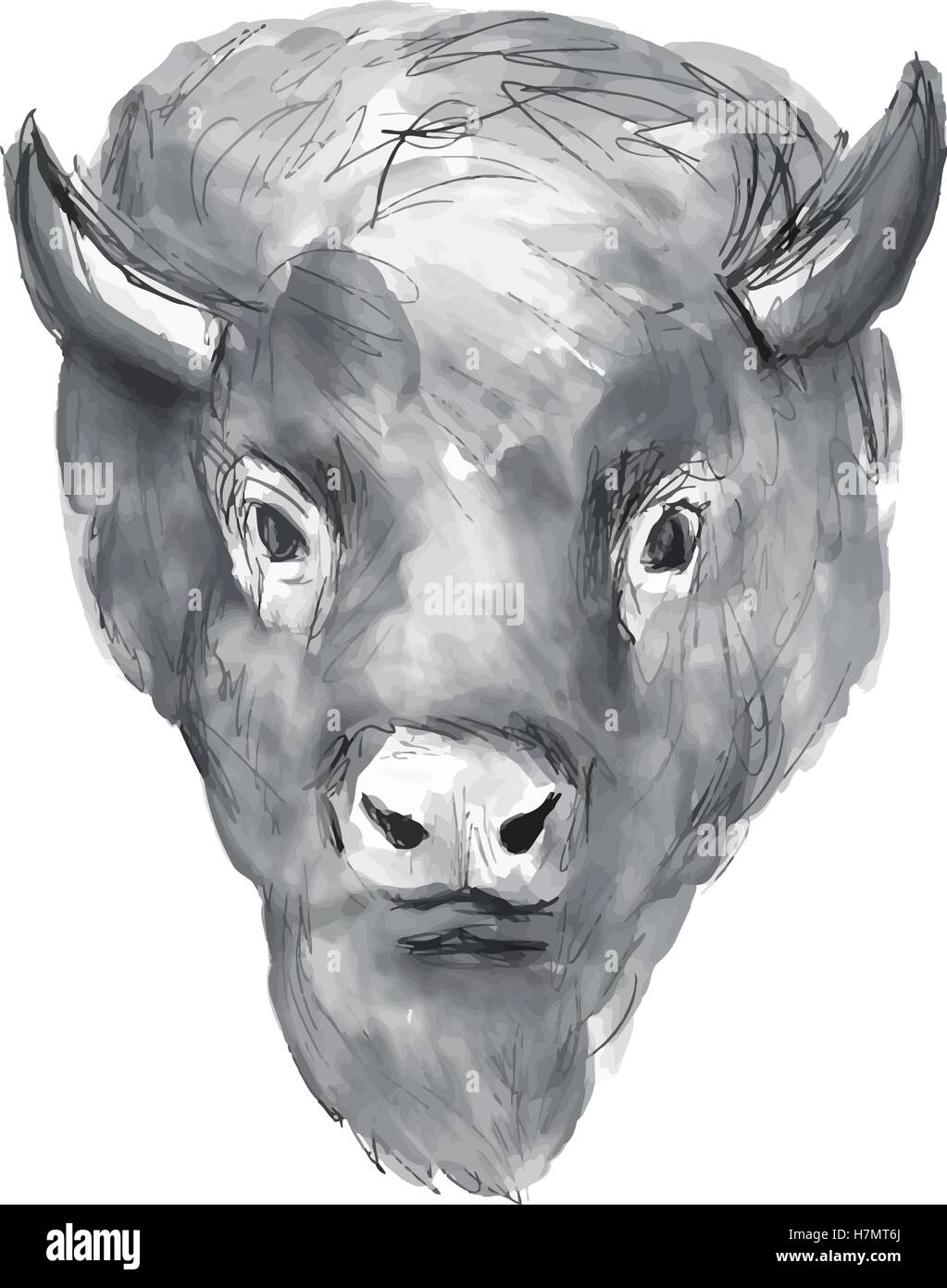 Bison bison bison on bison Stock Vector Images - Alamy