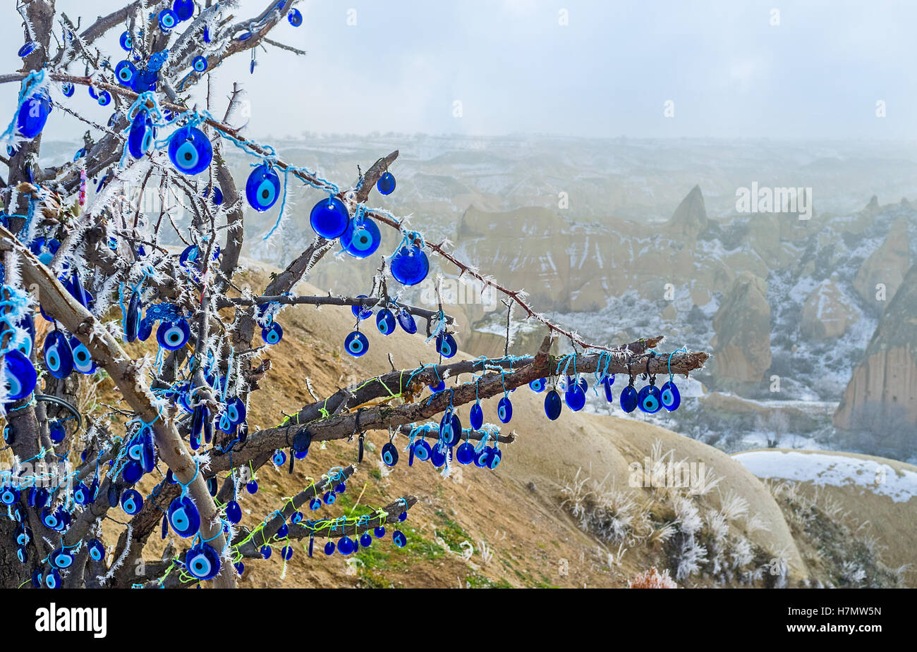 The branches of the old tree decorated with the eye-shaped amulets ...