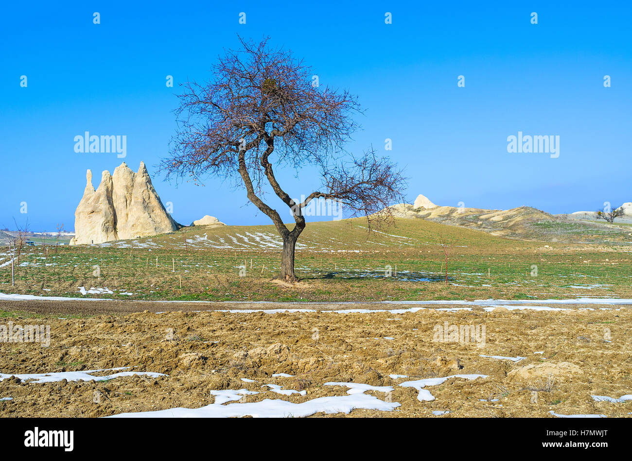 The countryside landscape with the white rock in the middle of the ...