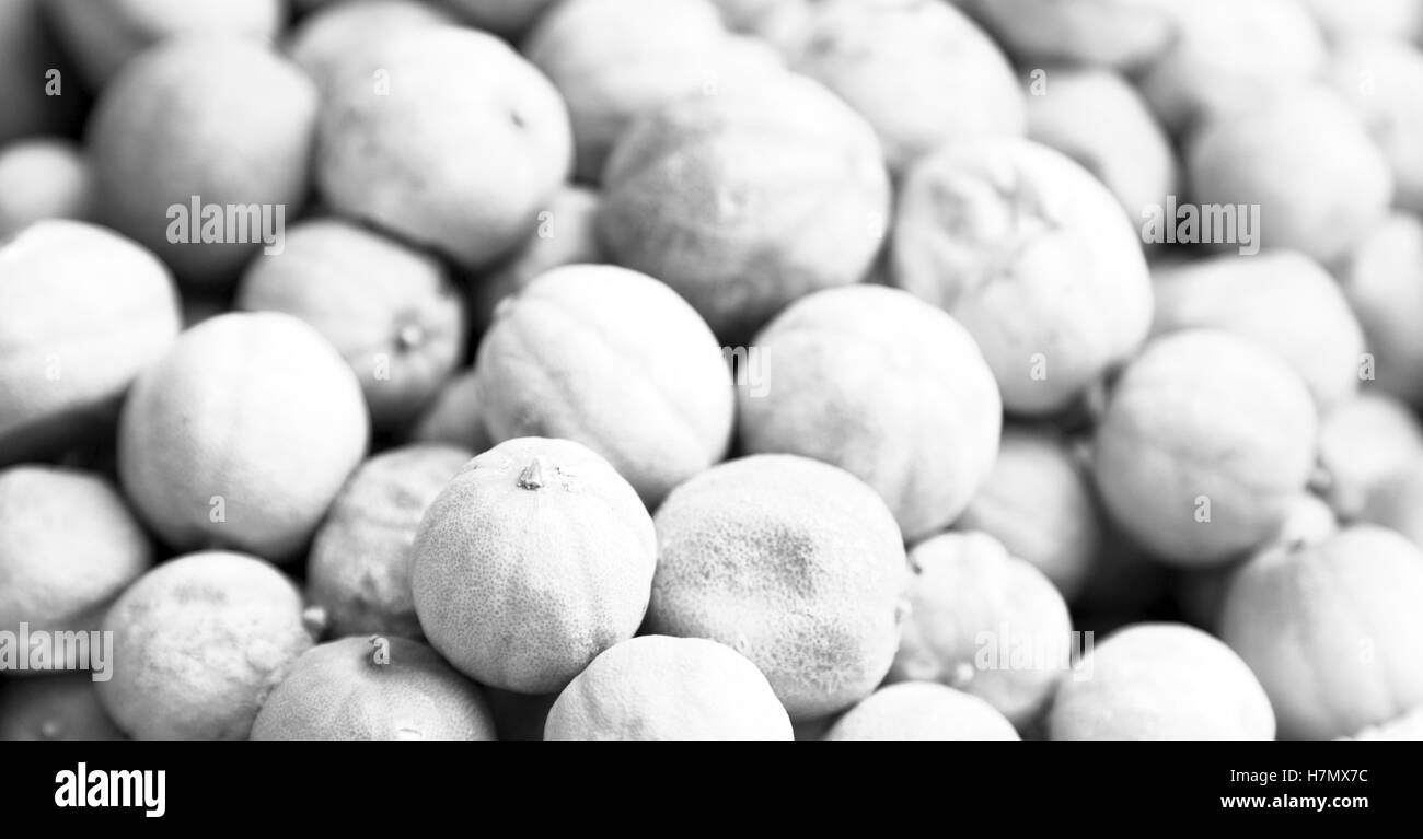 in iran typical dry lemon in abstract pattern background flavor and ...