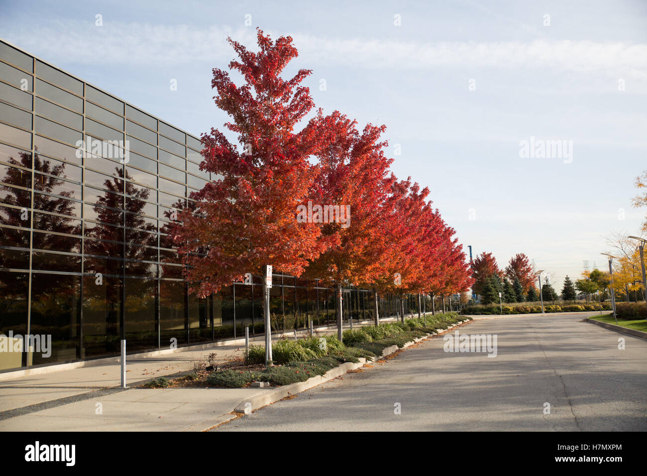 Business building hi-res stock photography and images - Alamy