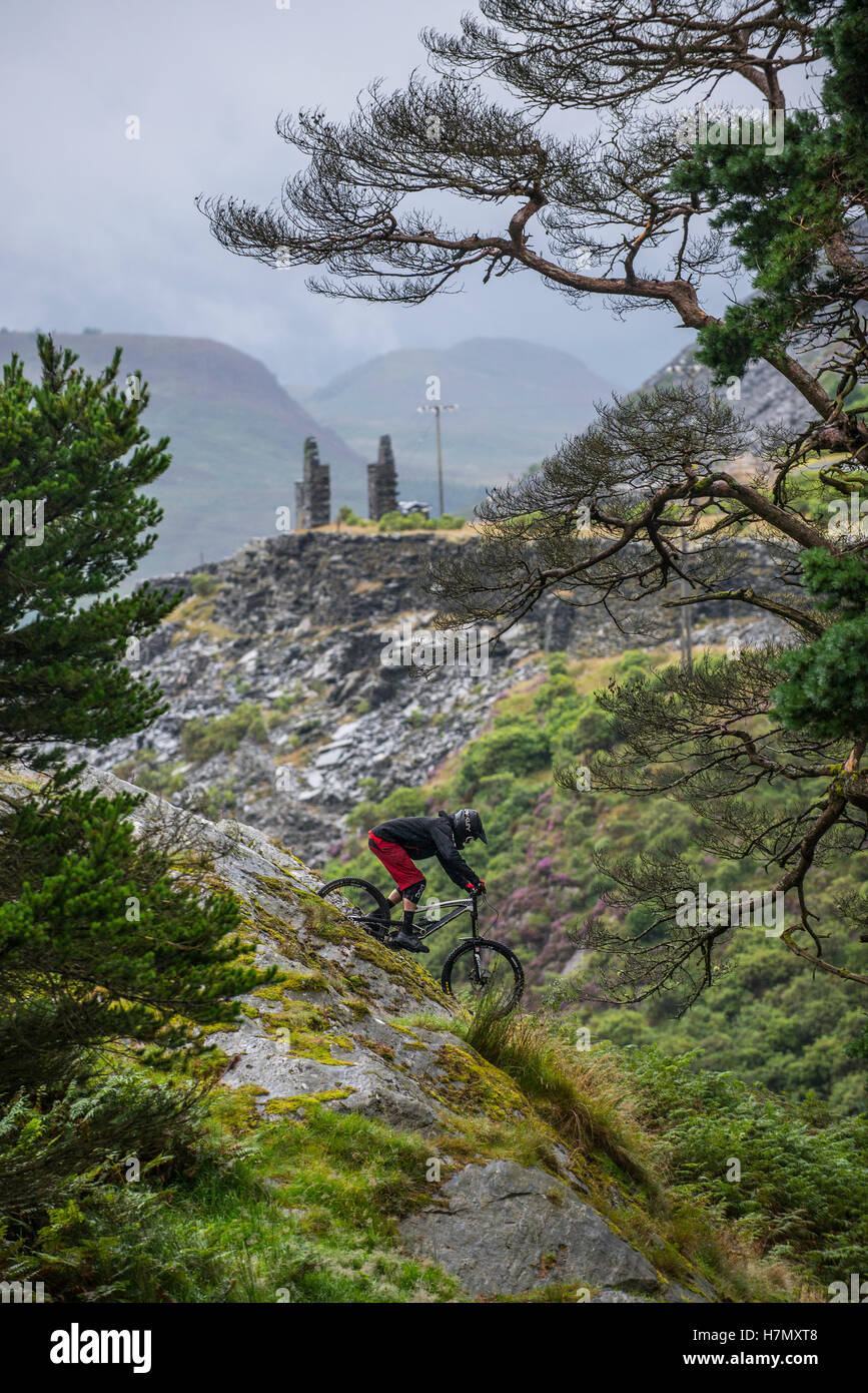 Mountain biker jumps drop hi-res stock photography and images - Alamy