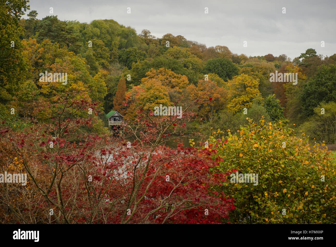Fall in england hi-res stock photography and images - Alamy