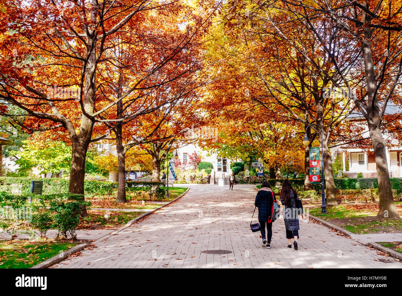 The fall season hi-res stock photography and images - Alamy