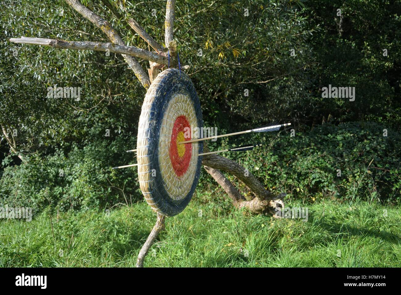 Target of straw hanging from the old tree branch with arrows through ...