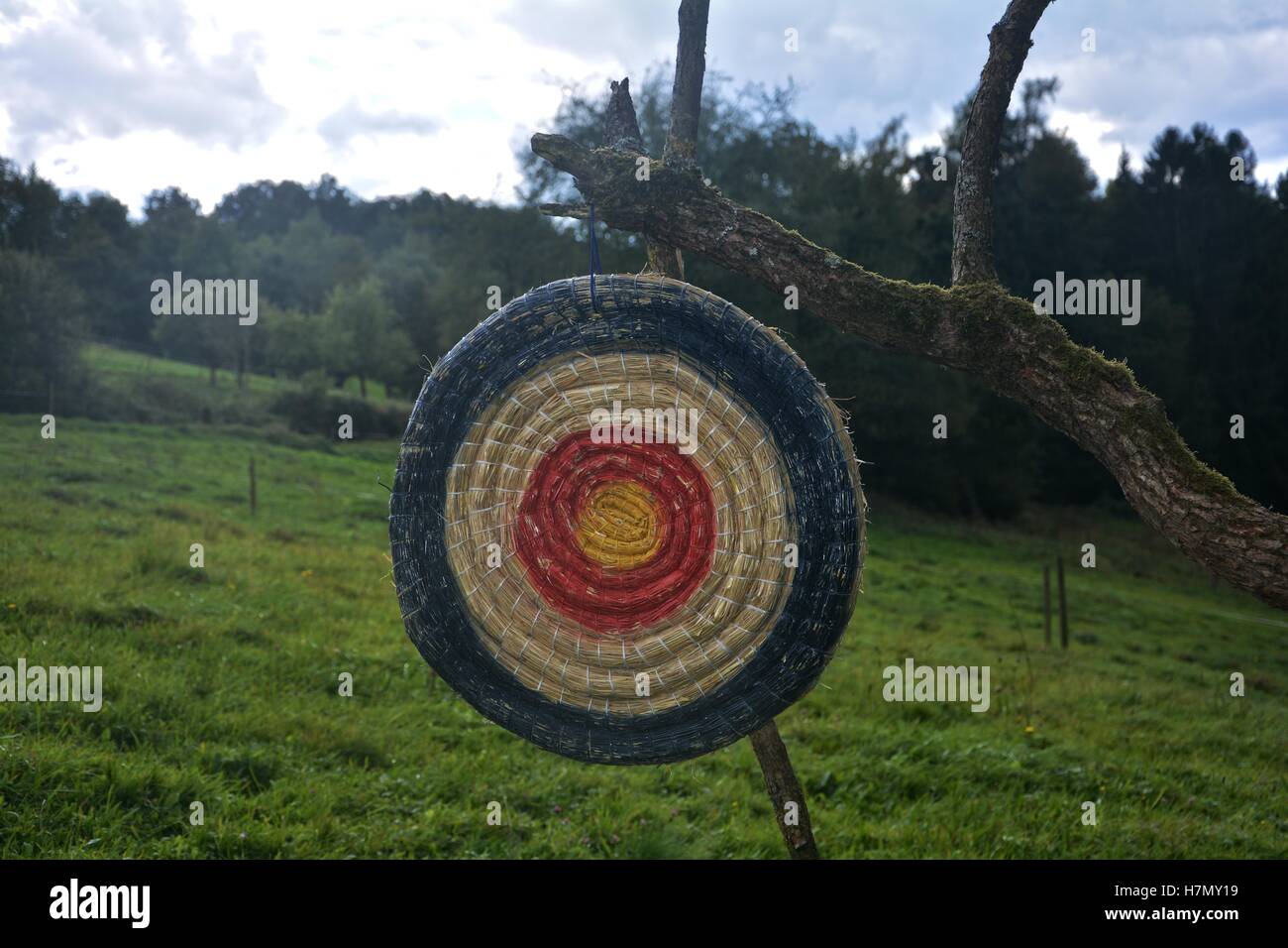 Target of straw hanging on the old tree branch Stock Photo - Alamy