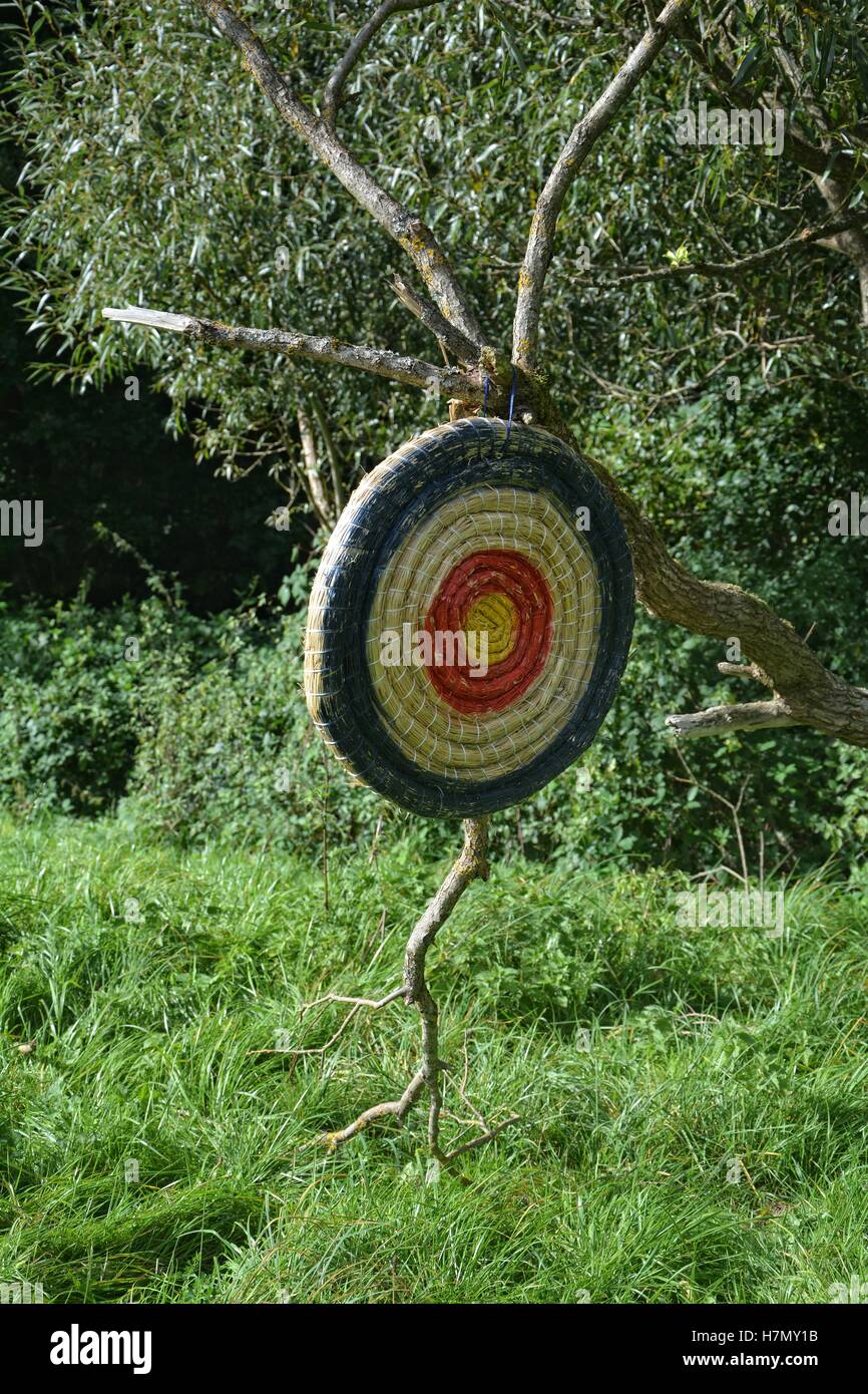 Target of straw hanging on the old tree branch Stock Photo - Alamy