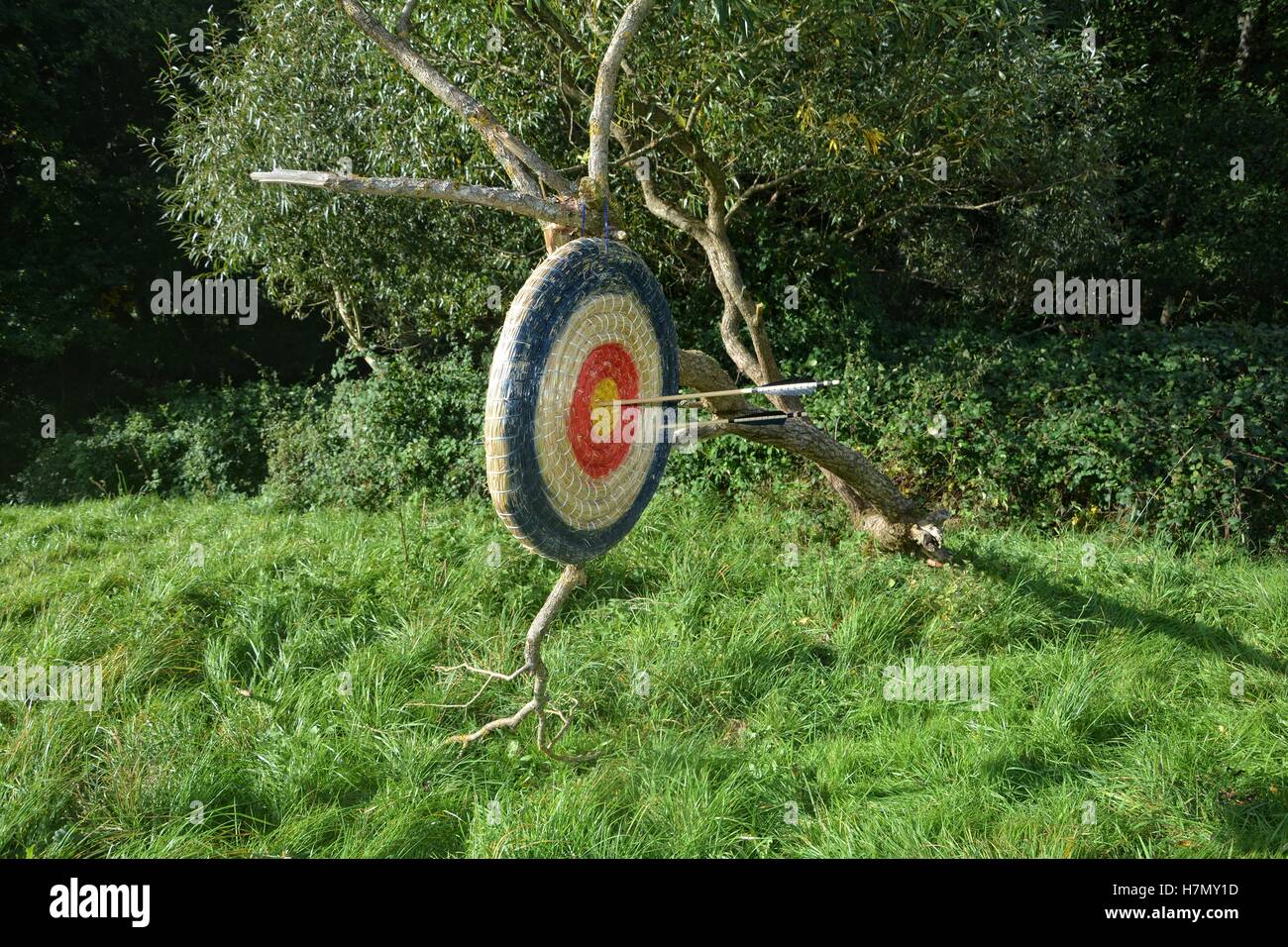 Arrow shot into tree hi-res stock photography and images - Alamy