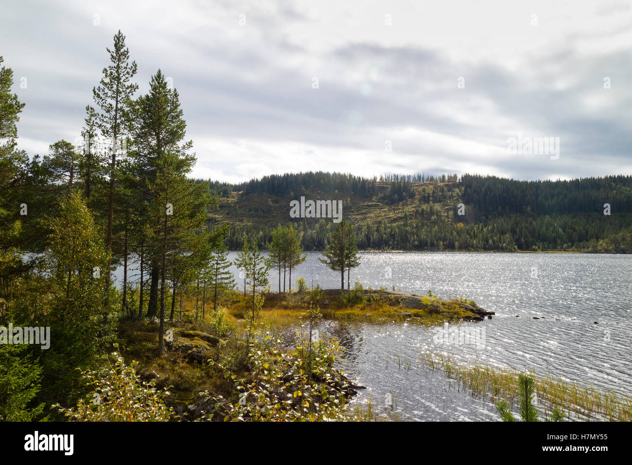 Scenery of the river Otra in the Setesdal , Norway Stock Photo - Alamy