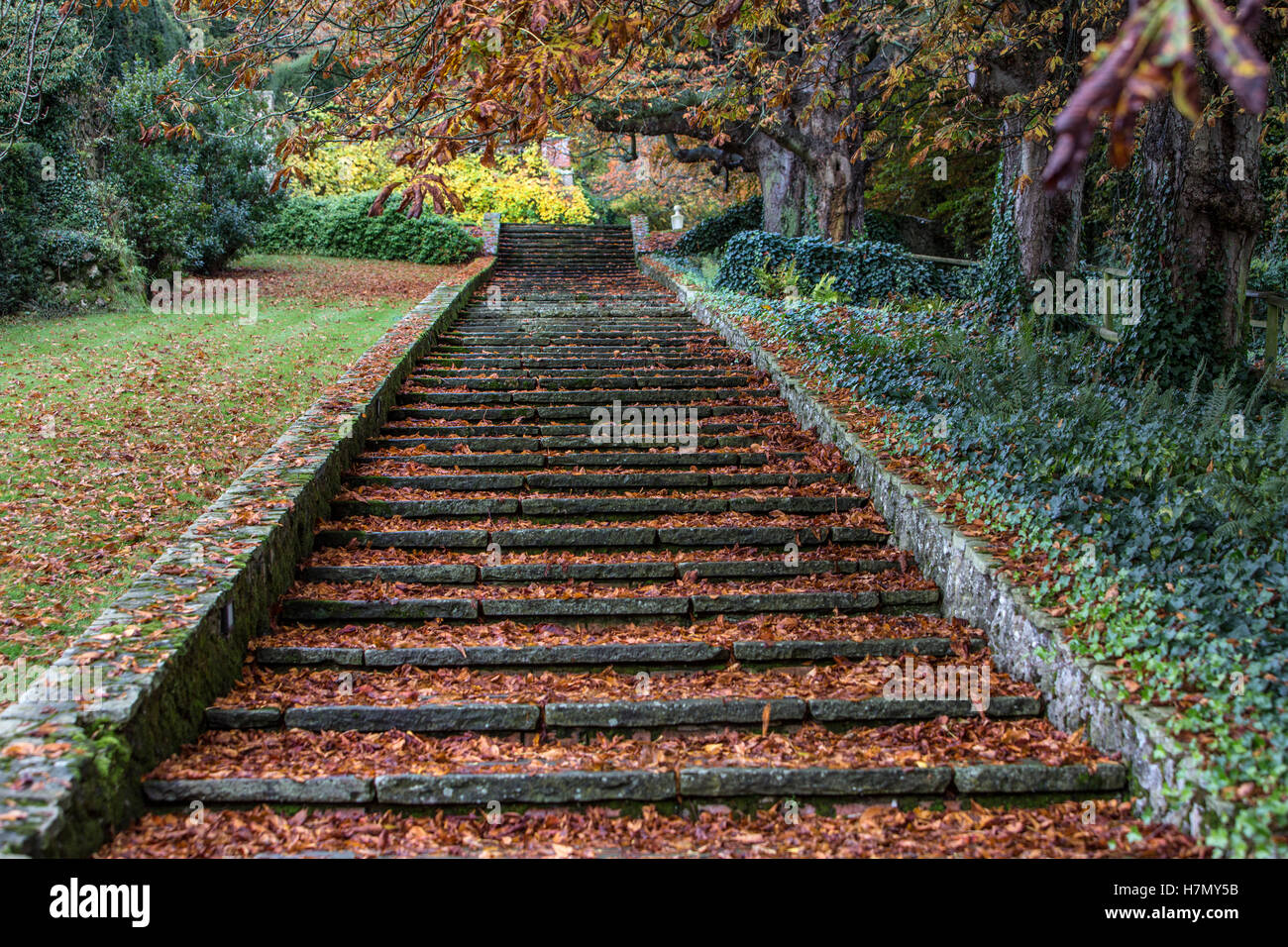 Step steps stairs hi-res stock photography and images - Alamy