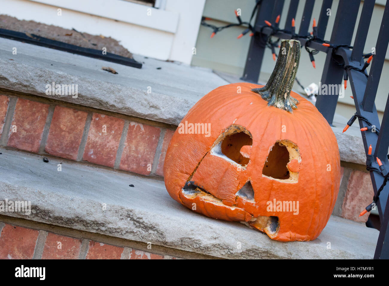 Moldy pumpkin end halloween hi-res stock photography and images - Alamy