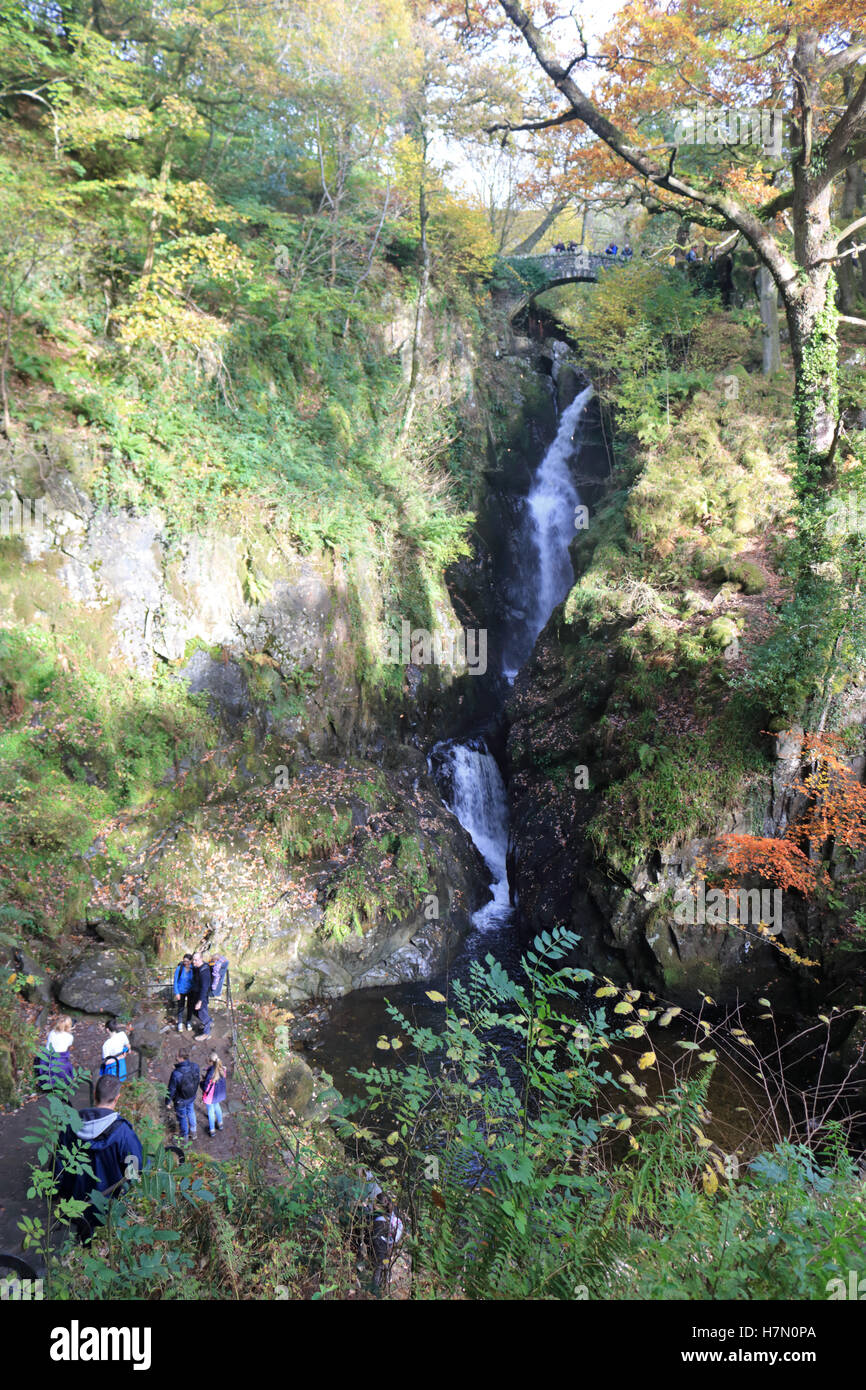 Autumn at Aira Force falls in Cumbria England UK Stock Photo - Alamy