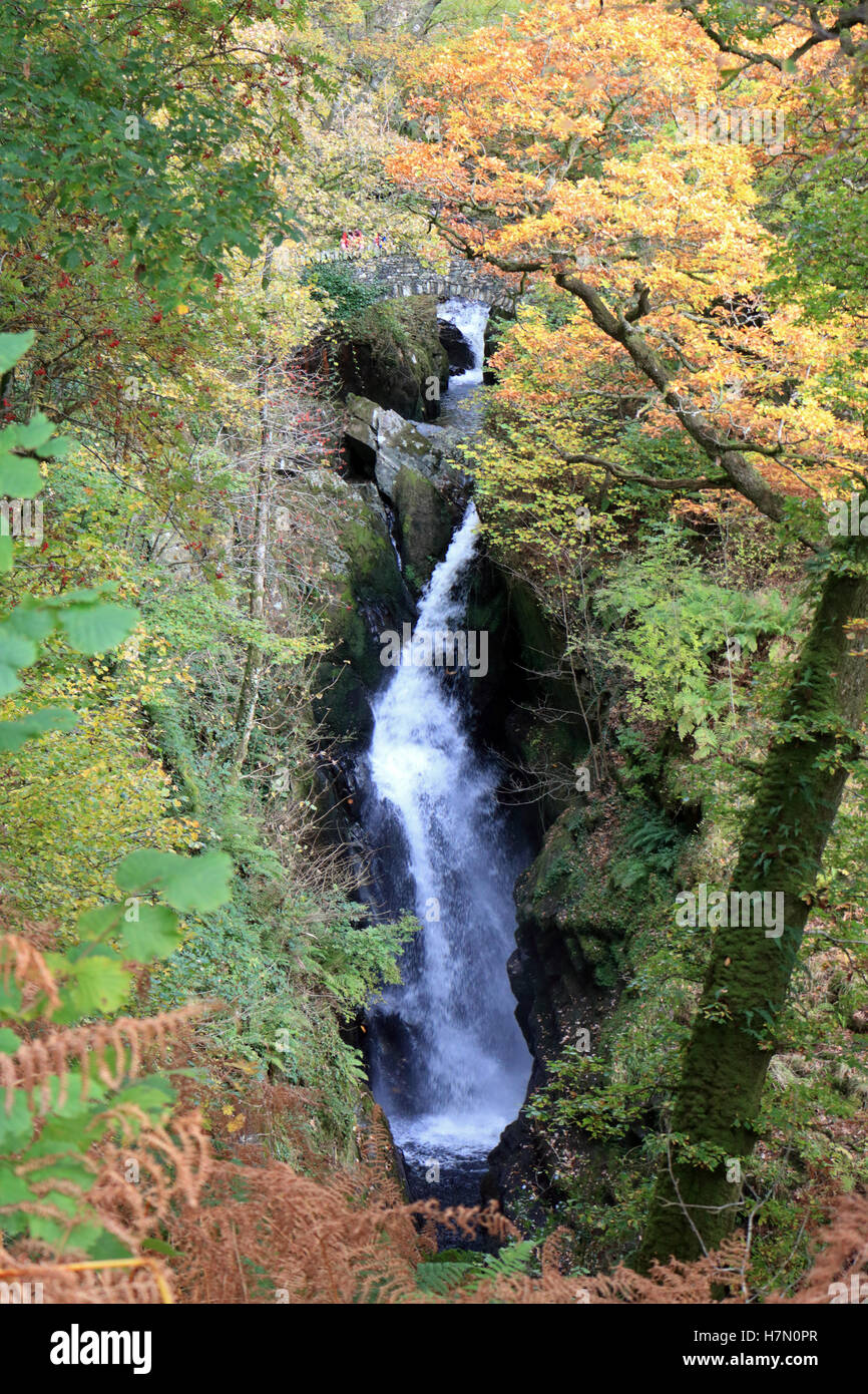Autumn waterfalls in cumbria england hi-res stock photography and ...