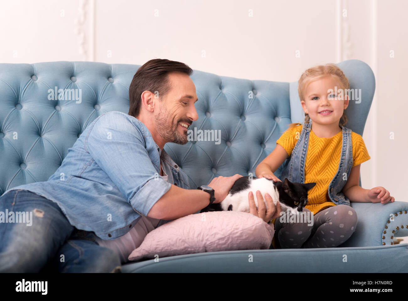 Positive nice man looking at the cat Stock Photo - Alamy
