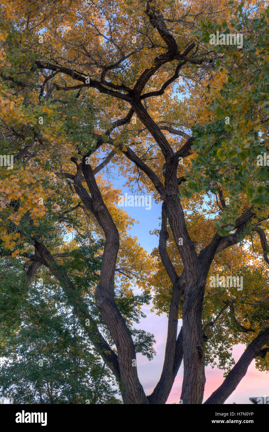 Albuquerque autumn fall hi-res stock photography and images - Alamy