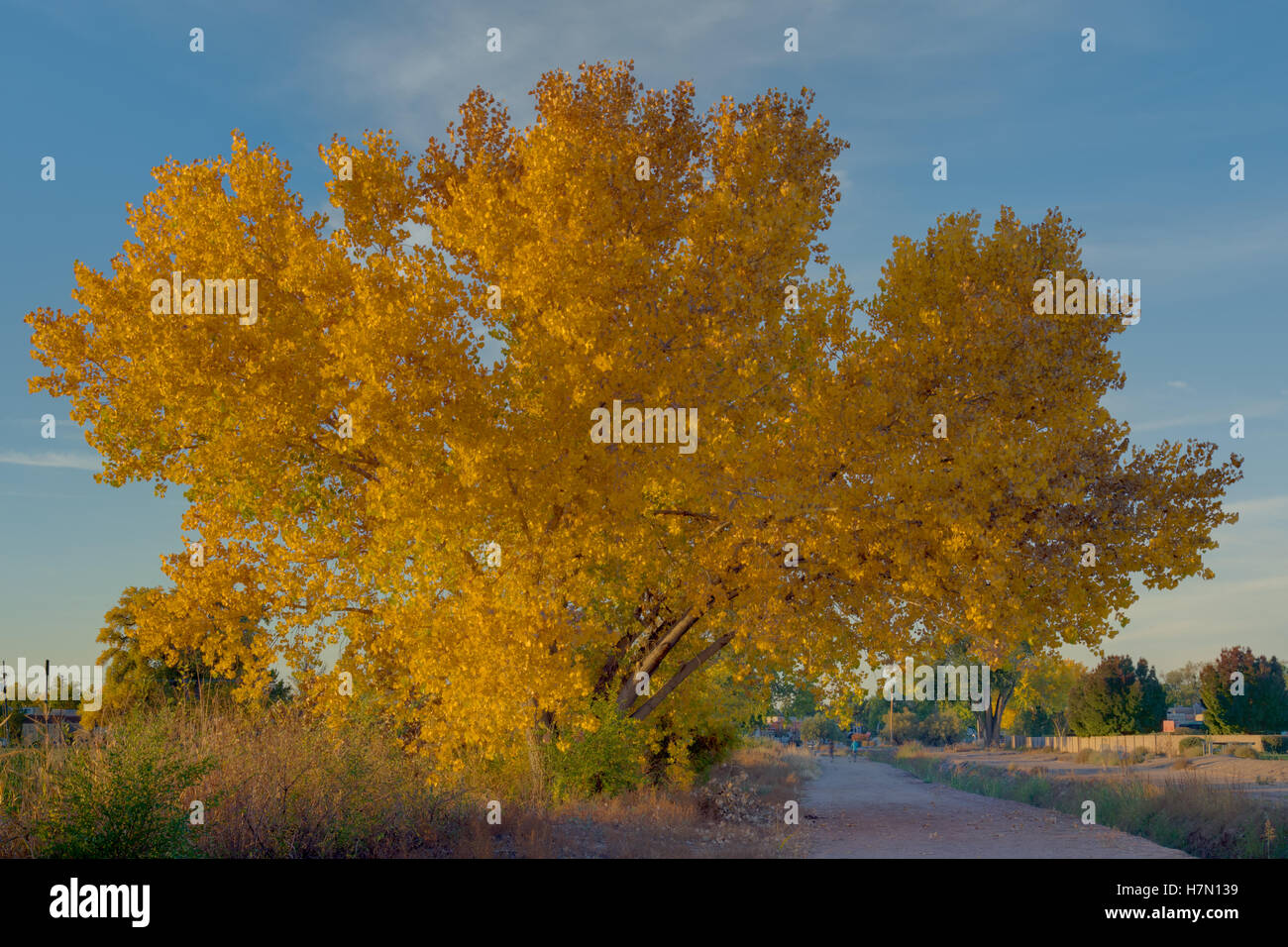 Albuquerque autumn fall hi-res stock photography and images - Alamy